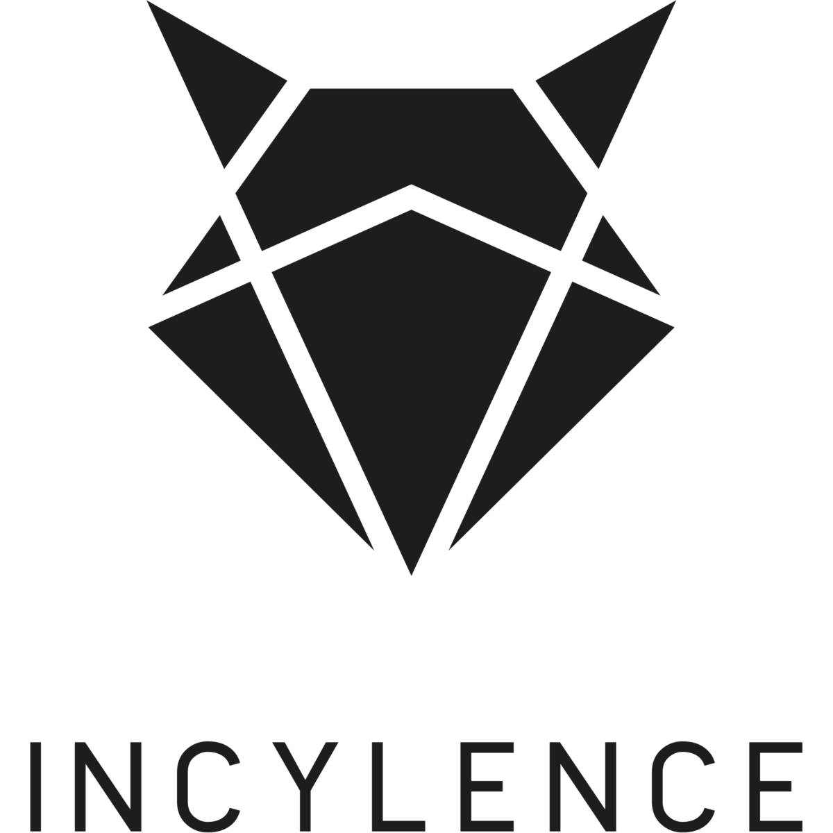 Startseite-DEU - Viking Triathlon